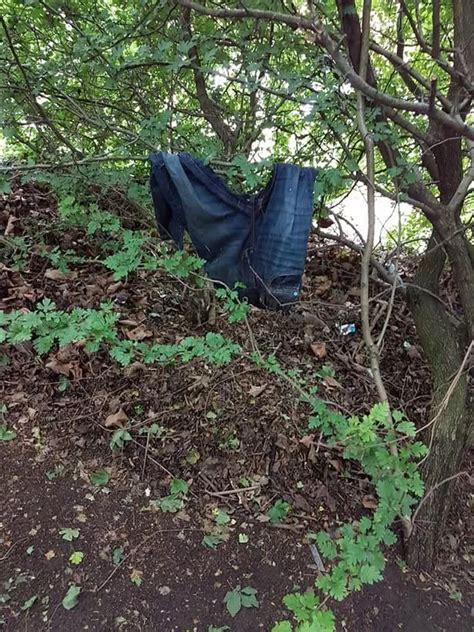 Devastating Photos Reveal Sex Worker S Home In Woods Next To Primary School Irish Mirror