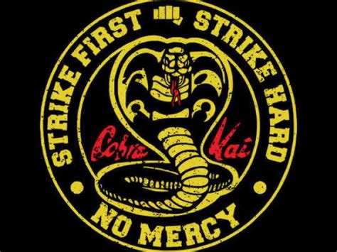 Quem Você Seria Em Cobra Kai David Souza Quizur
