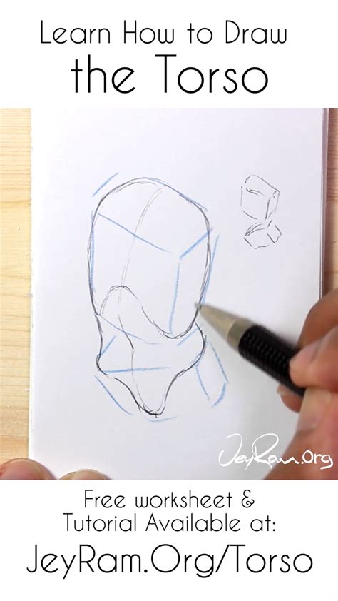How To Draw The Torso Step By Step Tutorial Artofit