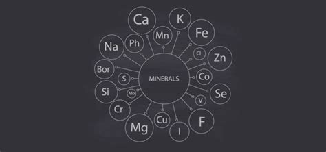 The Role Of Trace Minerals In Overall Health