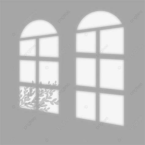 Window Shadow Overlay White Transparent Trees Overlay Shadow On Plaid