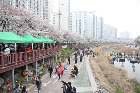 시사프리신문 우이천 벚꽃과 함께보는 둘리와 친구들 燈 특별 전시