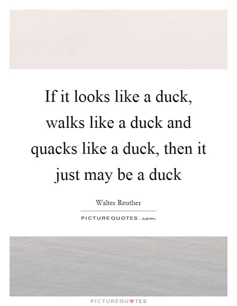 If It Looks Like A Duck Walks Like A Duck And Quacks Like A