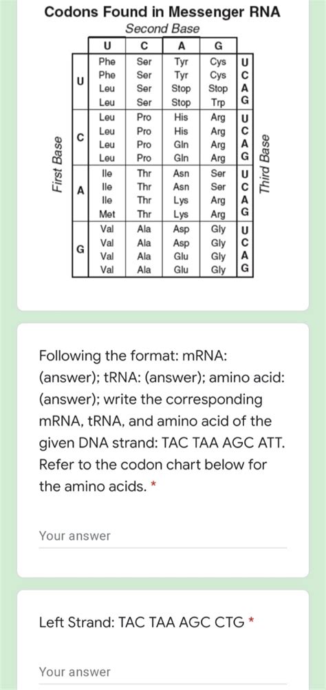 Answered Codons Found In Messenger RNA Second Bartleby
