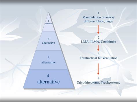Ppt Difficult Airway Assessment And Management Powerpoint