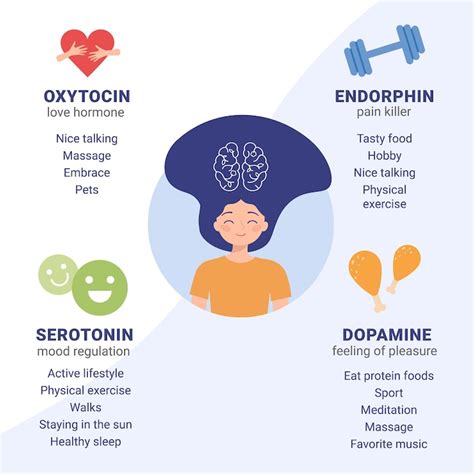 Premium Vector Scheme Of Happiness Hormones Oxytocin Serotonin