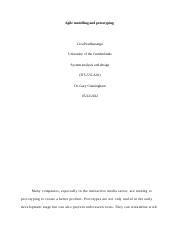 Assignment 6 1 Docx Agile Modelling And Prototyping Liza Pradhananga University Of The