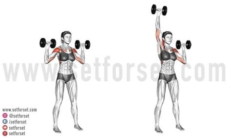 Converging Shoulder Press Muscles Worked