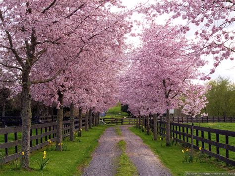 The Writeous And The Wicked Rhetoric And Composition Class 10 Monday