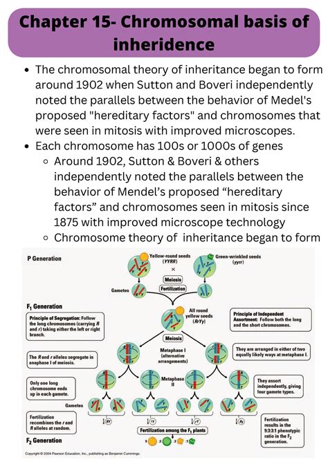 Bio 2 Notes Bio 1400 Chapter 15 Chapter 15 Chromosomal Basis Of
