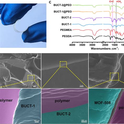 Characterizations Of Mof Polymer Mmms A Photographs Of Buct 1 Based