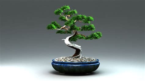 Bonsai 3d Model 19 Max Fbx Obj Free3d