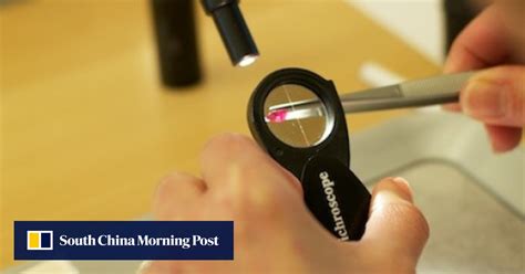 How To Learn To Tell An Expensive Ruby From A Cheap Imitation South China Morning Post