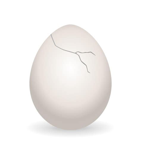 Premium Vector Cracked Egg Eggshell Cracking Stage Realistic Chicken Egg With Broken Eggshell