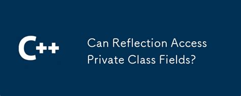 反射可以存取私有類別欄位嗎？ C Php中文網