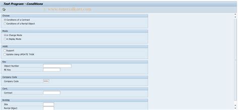 RECDZZ SAP Tcode Test Conditions