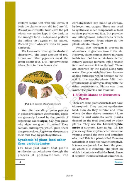 Nutrition In Plants NCERT Book Of Class Science