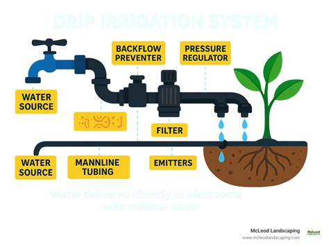 Drip Irrigation Systems 5 Proven Ways To Boost Garden Success 2025