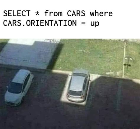 sun query language r programmerhumor