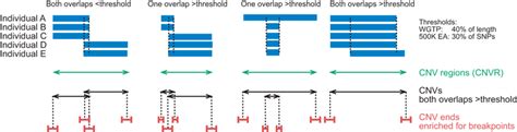 Defining Cnvrs Cnvs And Cnv Endsoverlapping Cnvs Called In Five