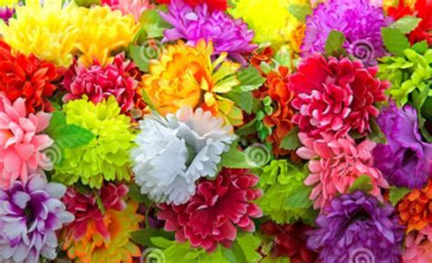 色花堂论坛国产