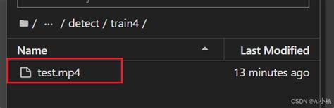 【目标追踪1】基于YOLOv8+DeepSort的目标追踪-YOLOv8-DeepSORT-Object-Tracking模型训练自己的数据集 ...