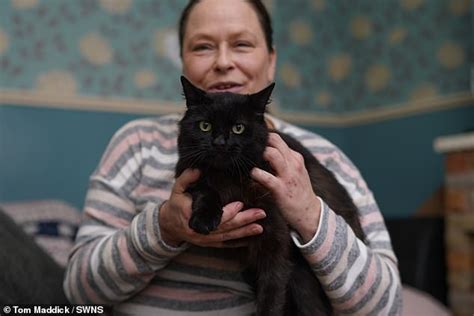 Fur Einds Reunited Missing Cat Gizmo Is Returned Home To Its Owner Six YEARS After Vanishing