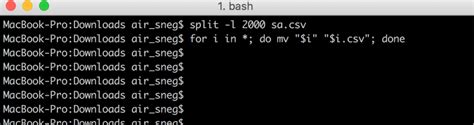 what is the best way to view or edit large csv files domains index