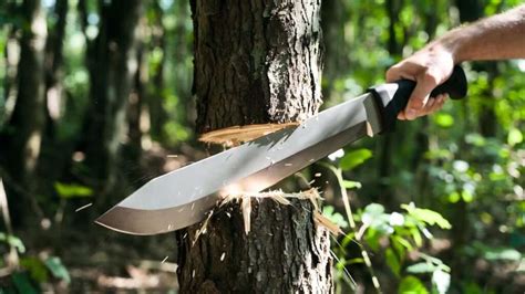 Best Machete For Cutting Trees Top 10 Picks 2025