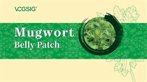 Navel Slimming Detox Patch Weight Loss Belly Fat Burning