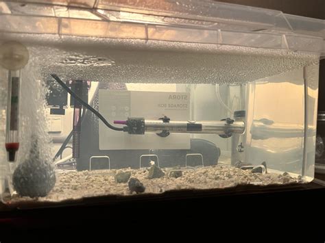 Nano Build 3 5 Gallon Long Pico Reef2reef