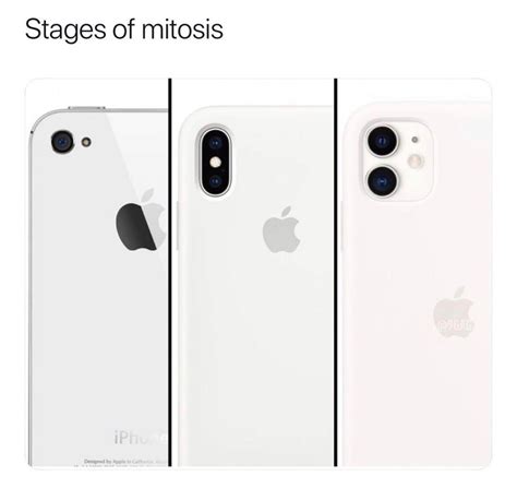 Mitosis Of A Cell Phone R Iphone