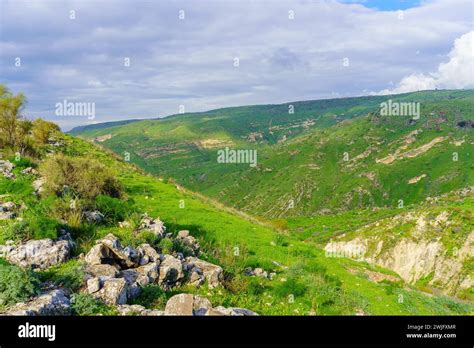 View Of Landscape Of The Southern Part Of The Golan Heights Northern