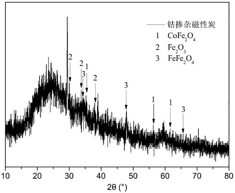 Cobalt Doped Magnetic Carbon And Preparation Method And Application Thereof In Anaerobic