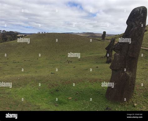 Moai Statues Overlook A Lush Green Landscape On Easter Island The