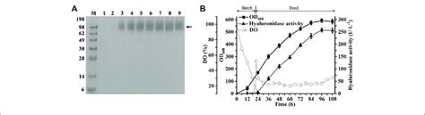 Fed Batch Fermentation Of Recombinant Strain P Pastoris Download Scientific Diagram