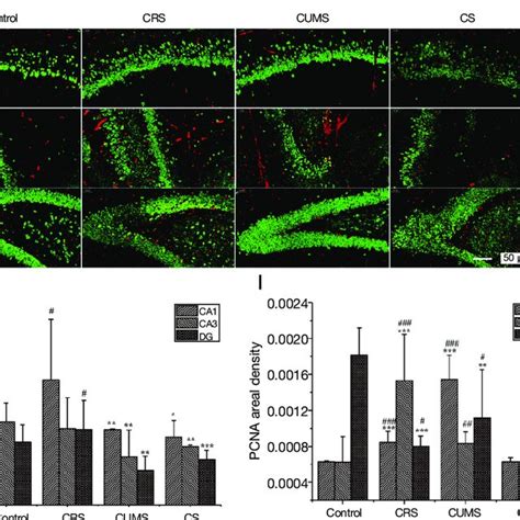 Multi Response Permutation Procedure Mrpp Analysis Of Gut Microbiota Download Scientific