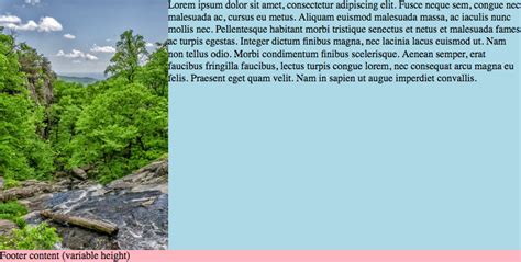 Html Scaling Image To Fit Flexbox Layout Stack Overflow