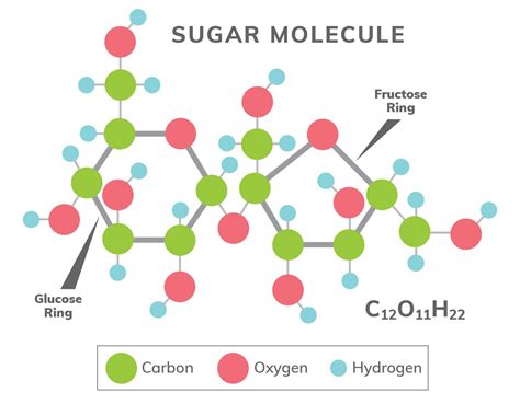 What Is Sugar What Is Sucrose The Sugar Association