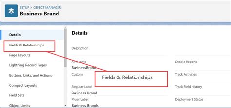 Salesforce Geolocation Field