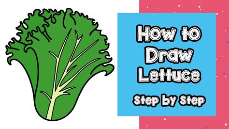 Easy Lettuce Drawing