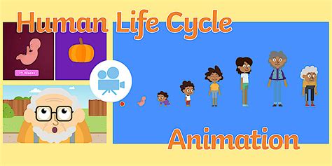 The Human Life Cycle Animation Twinkl Go
