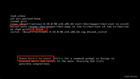 redhat 8 重置root密码 rhel8忘记root密码 csdn博客