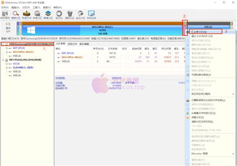 零基础macos ventura13黑苹果双系统安装全教程，入门级安装完整全过程opencore及clover四叶草efi ，windows