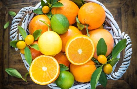 Jangan Dibuang Biji Jeruk Ampuh Luluhkan Penyakit Ganas Fajar Jangan Dibuang Biji Jeruk Ampuh Luluhkan Penyakit Ganas Fajar