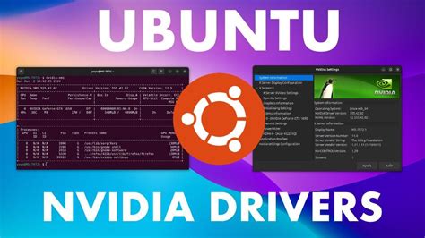 在 Ubuntu 上安装 Nvidia 驱动程序：完整的分步指南