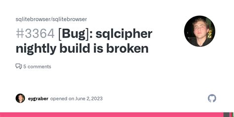 [bug] Sqlcipher Nightly Build Is Broken · Issue 3364 · Sqlitebrowser Sqlitebrowser · Github