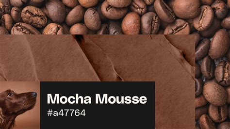 Pantone Color Of The Year Mocha Mousse Color Palettes Hex Codes Brand Collaborations