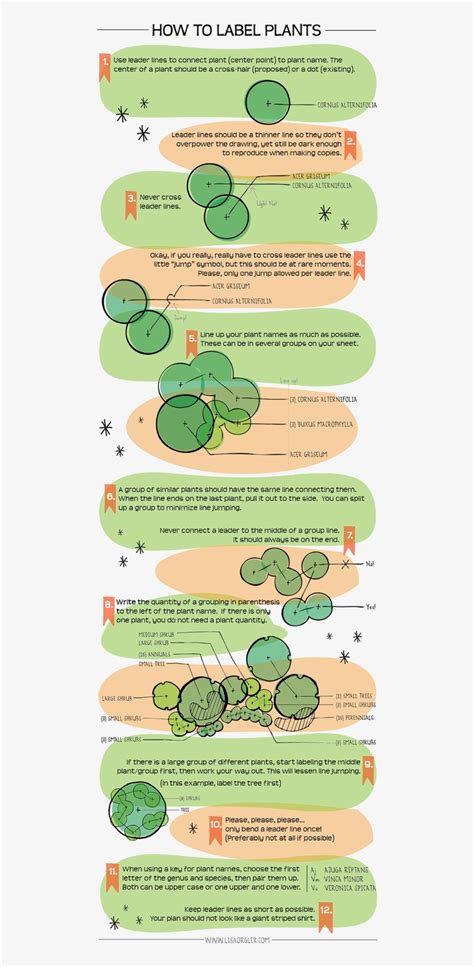 Tree For Background Png By Gd08 On Deviantart Landscape And Presentation 487x1600 PNG
