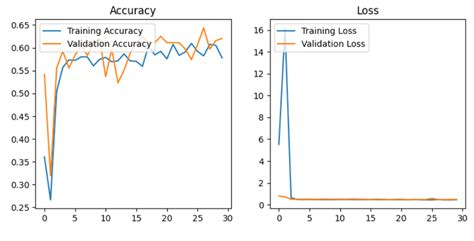 Inception Performance On Original Dataset Download Scientific Diagram